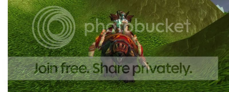 WTS GODLY T6 DRUID! 12 PIECES OF T6! HEALING, FERAL, TANKING SETS! PVP ...