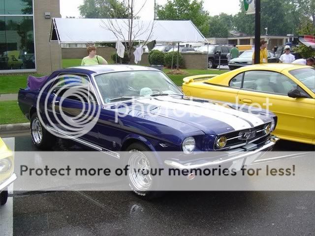 SN95 Convertible Hardtop | Ford Mustang Forums