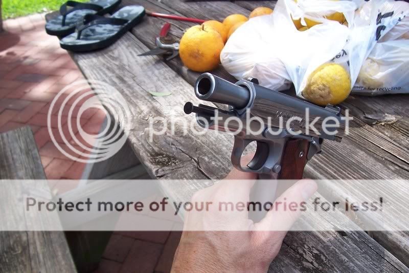 Another Option for Colt Officer Recoil Plug Replacement | 1911Forum