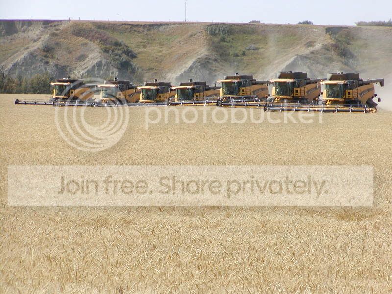 Custom Harvesting Photos | The Combine Forum