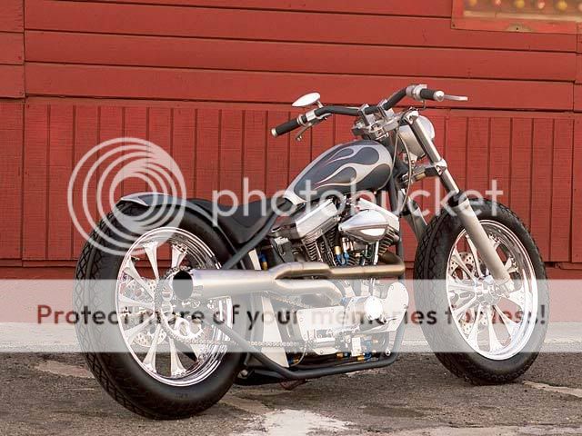 Progress of little changes, New Pics | Page 2 | Jockey Journal Forum